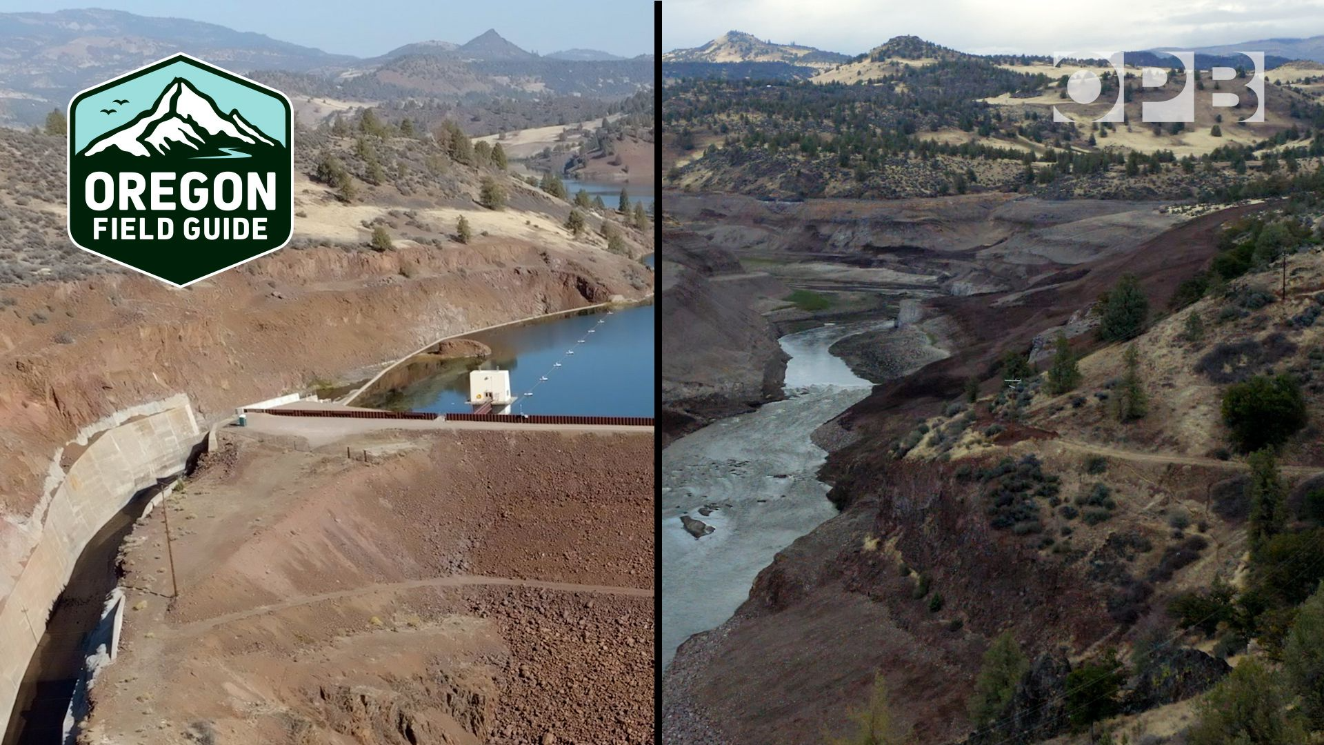 Watch: Klamath River reemerges after the removal of four dams - OPB